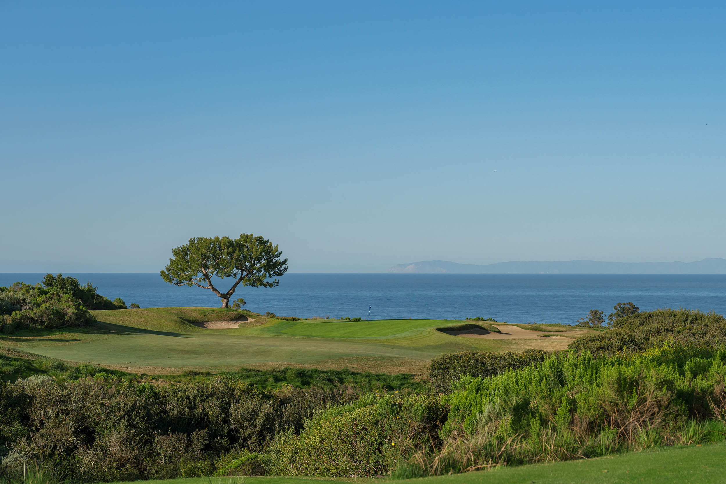 Play Yellow with Pelican Hill - The Resort at Pelican Hill